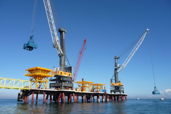 17 Types Of Cranes Explained: What They Are And Where They Are Used